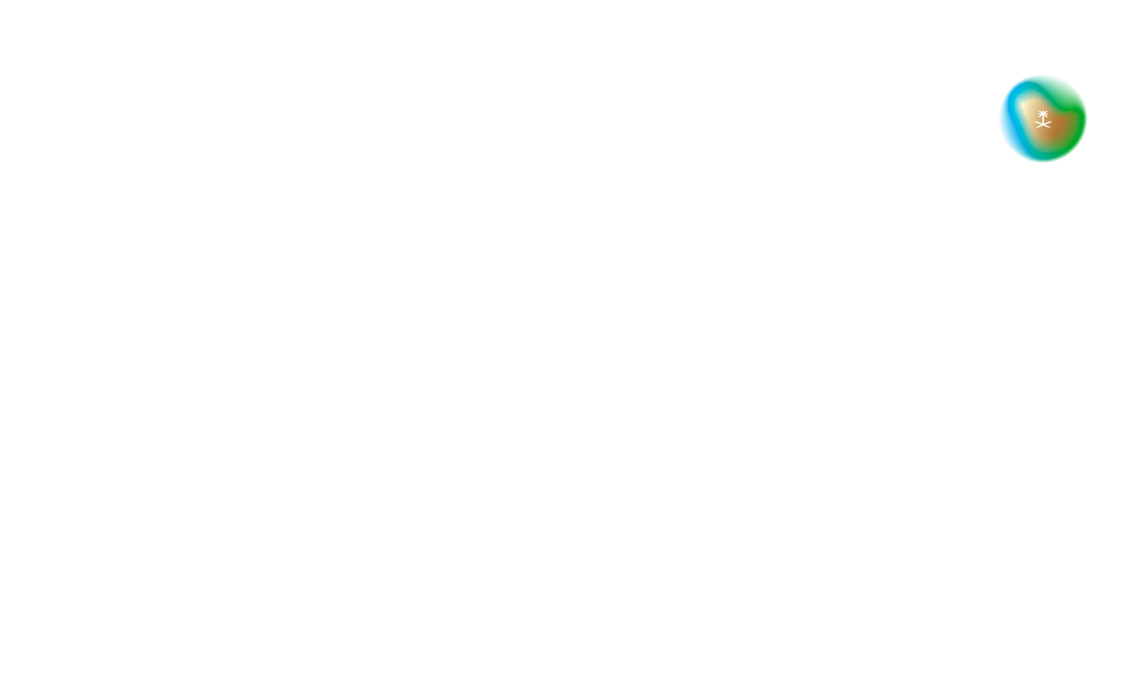 Saudi Arabia Smart Grid 2025